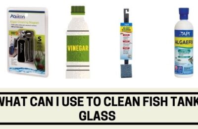 Best WW2 Fish Tank Decorations