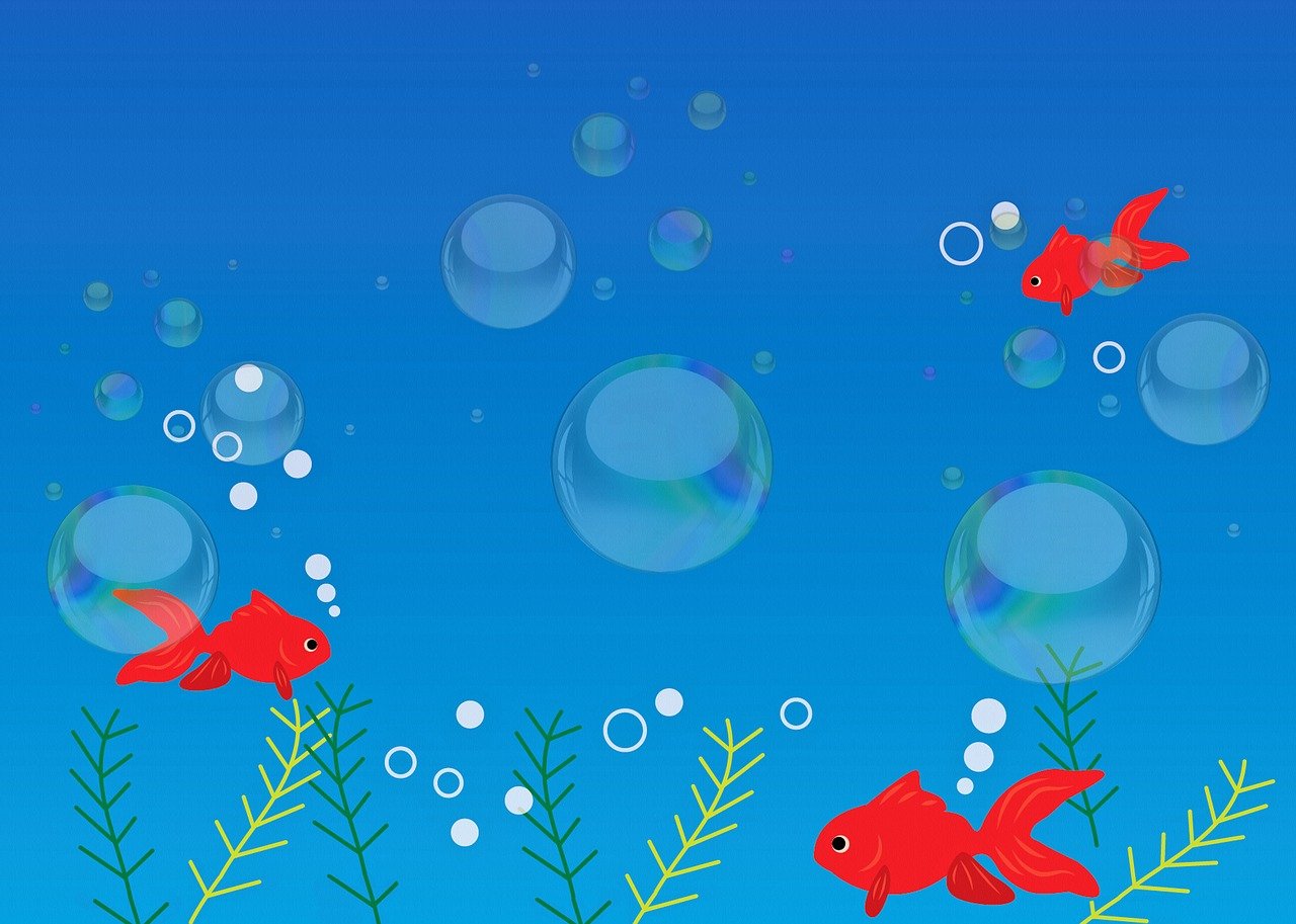 How Do Fish Get Their Oxygen? - Fishtank Expert