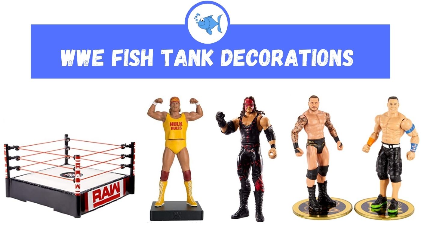 WWE Fish Tank Decorations - Fishtank Expert