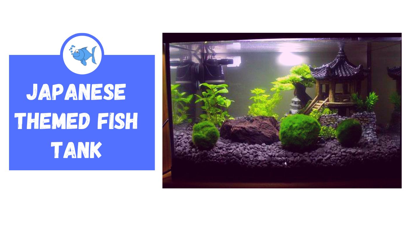 Best Japanese Themed Fish Tank Decorations - Fishtank Expert