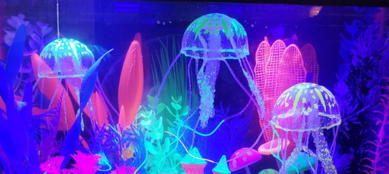 The 5 BEST Glofish Tank Decorations - Fishtank Expert