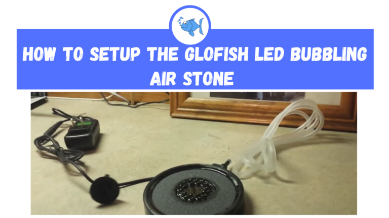 How to Setup the Glofish LED Bubbling Air Stone - Fishtank Expert
